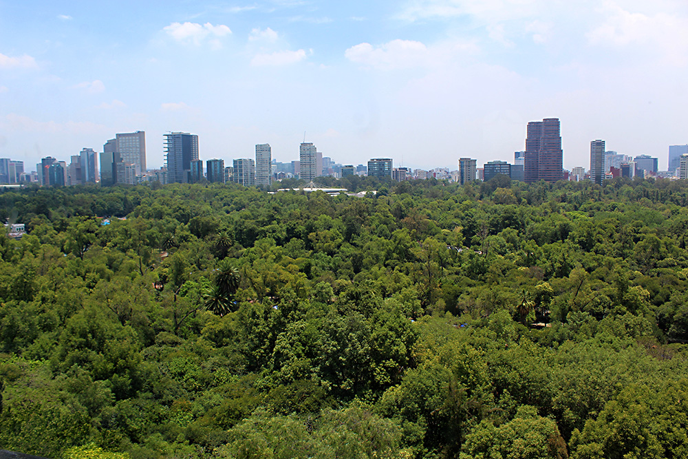 El Bosque de Chapultepec en la ciudad de México - En México